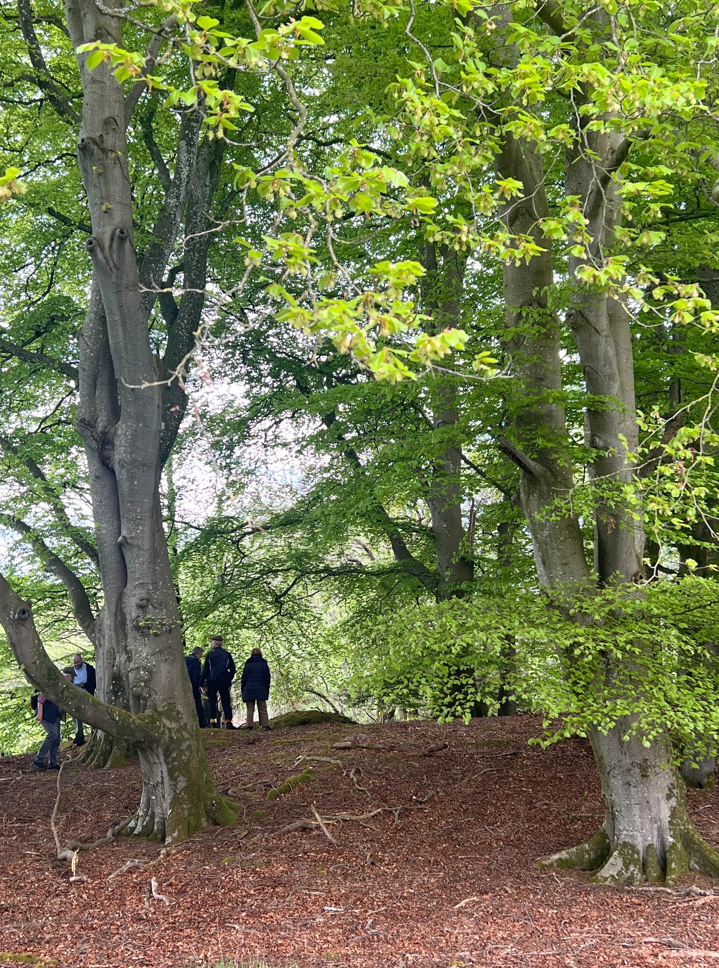 New discoveries at Robert Burns's Ellisland Farm - Ellisland Museum & Farm